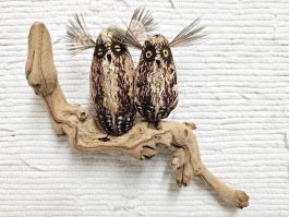 Mahogany Pod Owl on Wood at Kachina House