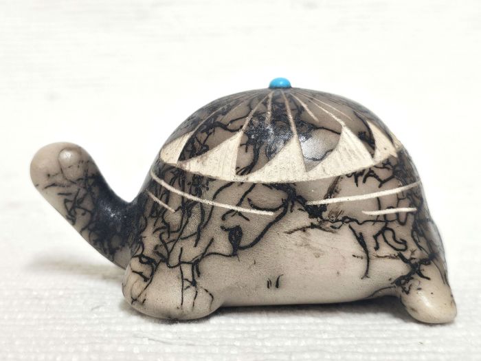 native american turtle design