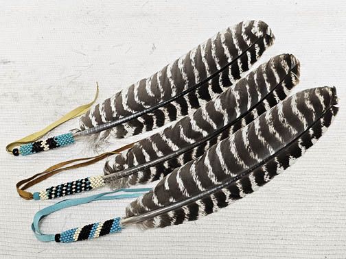 Native American Feather